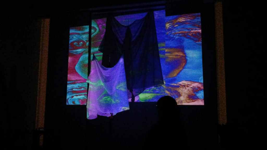 OBRAS FINALES DEL CURSO «ARTES INTERMEDIA Y REDES», DE LA CARRERA DE ...